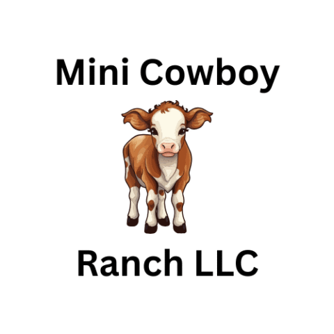 Mini Cows For Sale - Mini Cows For sale